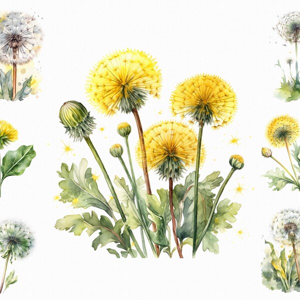 Dandelion - Etsy