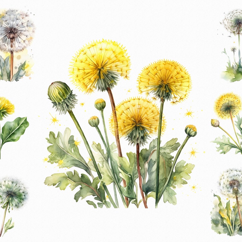 Dandelion Art - Etsy