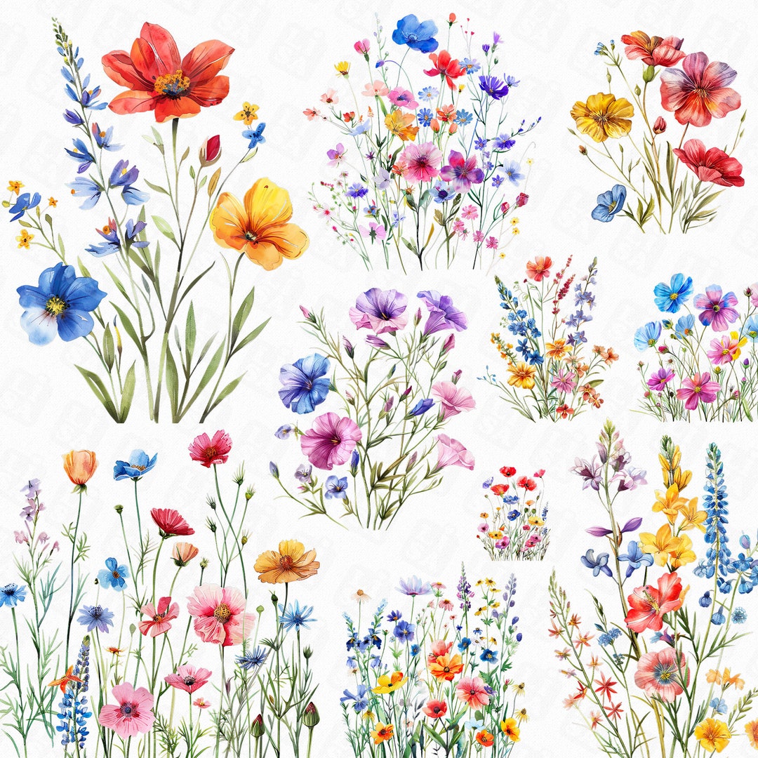 52 Watercolor Summer Flowers Png, Wild Flowers, Wild Floral Clipart ...