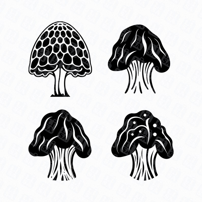 Morel svg dxf png primavera svg seta svg cazador de - Etsy México