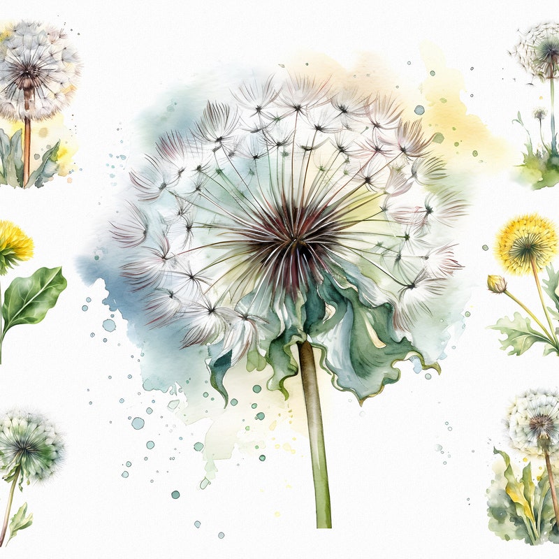 Dandelion Art - Etsy