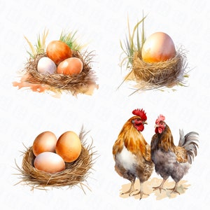 Watercolor Chicken Farm Png - Rooster Clipart, Farm Animals, Baby Chick ...