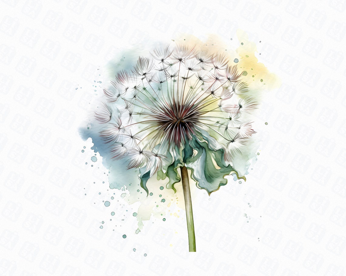 18 Watercolor Dandelion Clipart Spring Wildflowers Images - Etsy