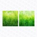Grass Digital Paper Digital Background Grass Background, Green Grass ...
