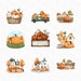 50 Pumpkin Harvest Clipart Png, Farm Harvest Clipart, Autumn Farmhouse ...