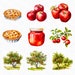 Watercolor Apple Garden Png Apple Clipart, Apple Invitation, Apple ...