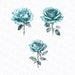 Watercolor Aqua Roses Png Turquoise Flower Bouquet Clipart Flower ...