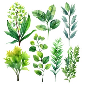 Watercolor Green Leaves Clipart, 8 High Quality Jpgs, Green Leaves Wall ...