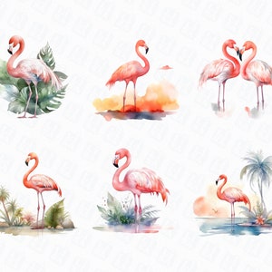 41 Watercolor Flamingo Png Craft Making Clipart - Tropical Birds Images ...