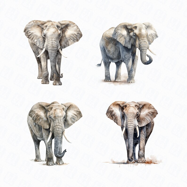 Watercolor Elephant Clipart African Animal Elephant Print - Etsy