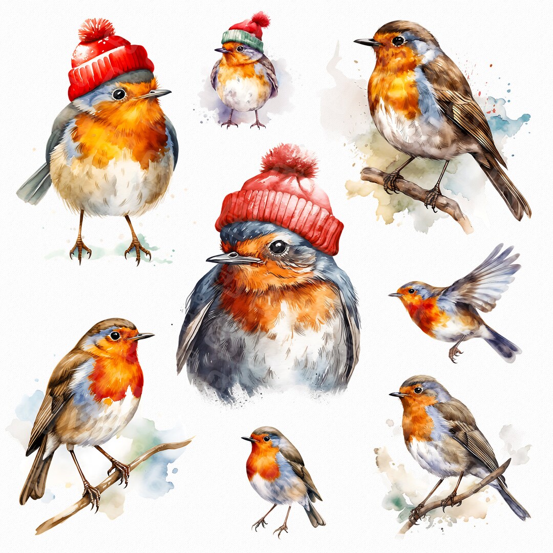 Watercolor Robin Png - Watercolor Bird Clipart, Collage Images, Garden ...