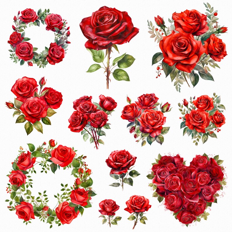 Watercolor Red Roses Png Single Rose Red Rose Bouquet - Etsy