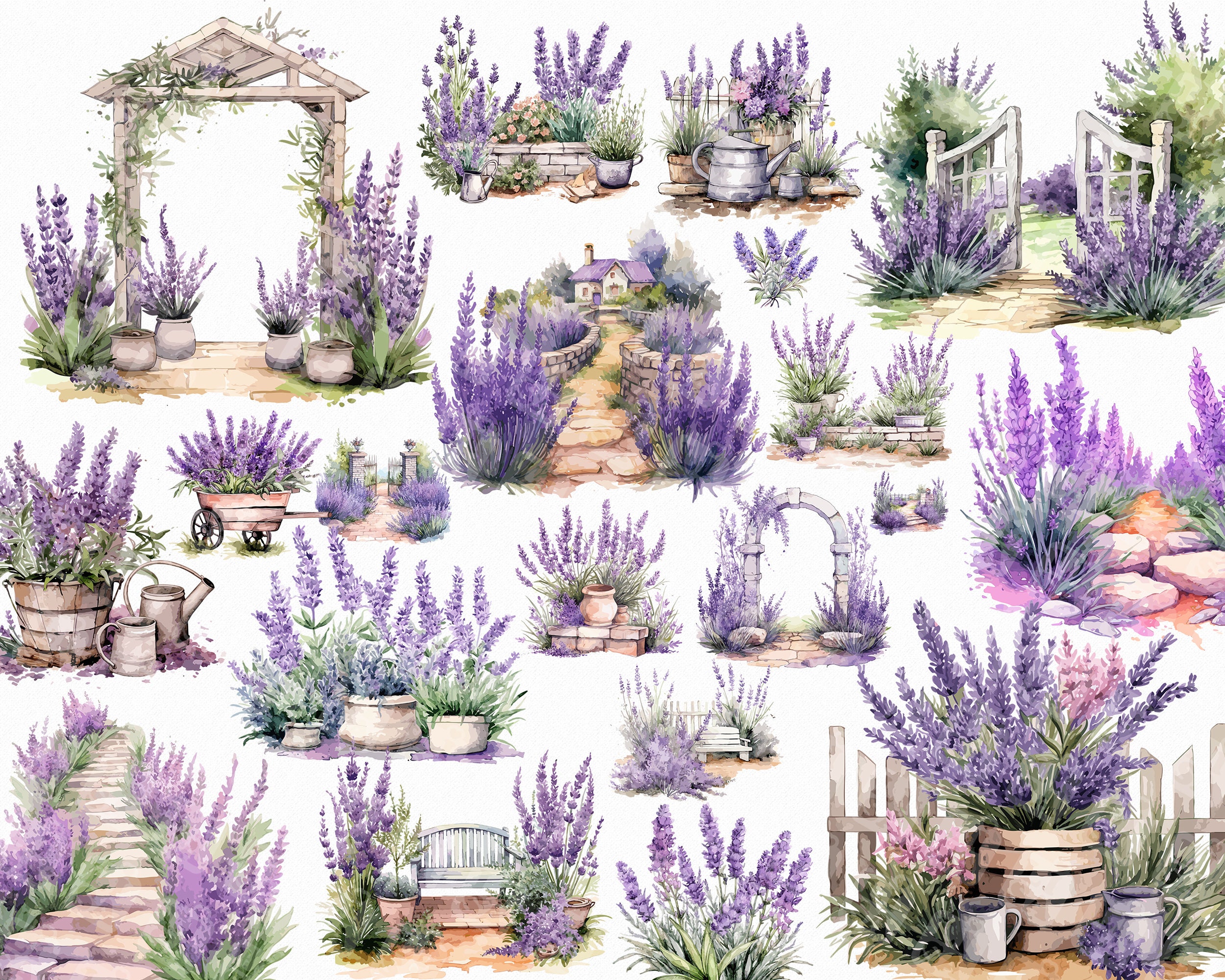 27 Watercolor Lavender Garden Png. Provence Lavender Clipart. - Etsy