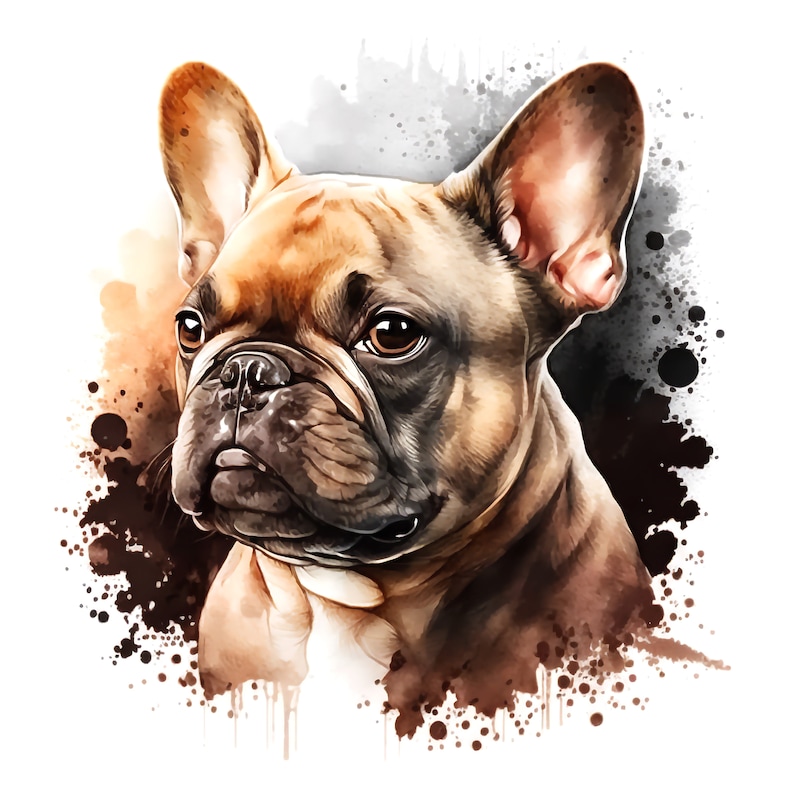 French Bulldog Clipart Digital French Bulldog Clipart & Image - Etsy