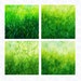 Grass Digital Paper Digital Background Grass Background, Green Grass ...