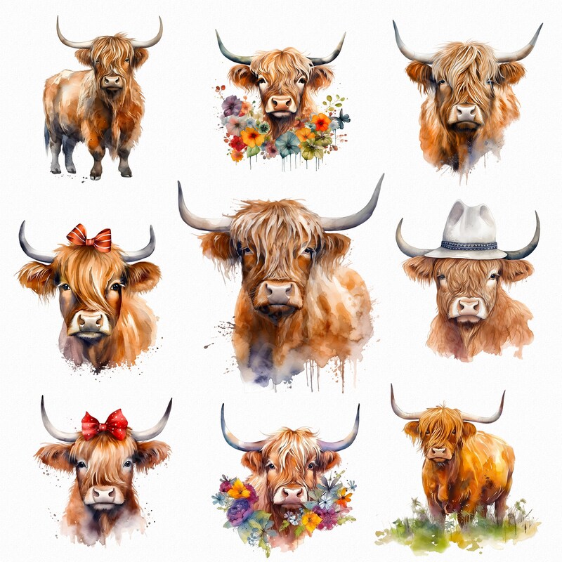 Highland Cow Png - Etsy