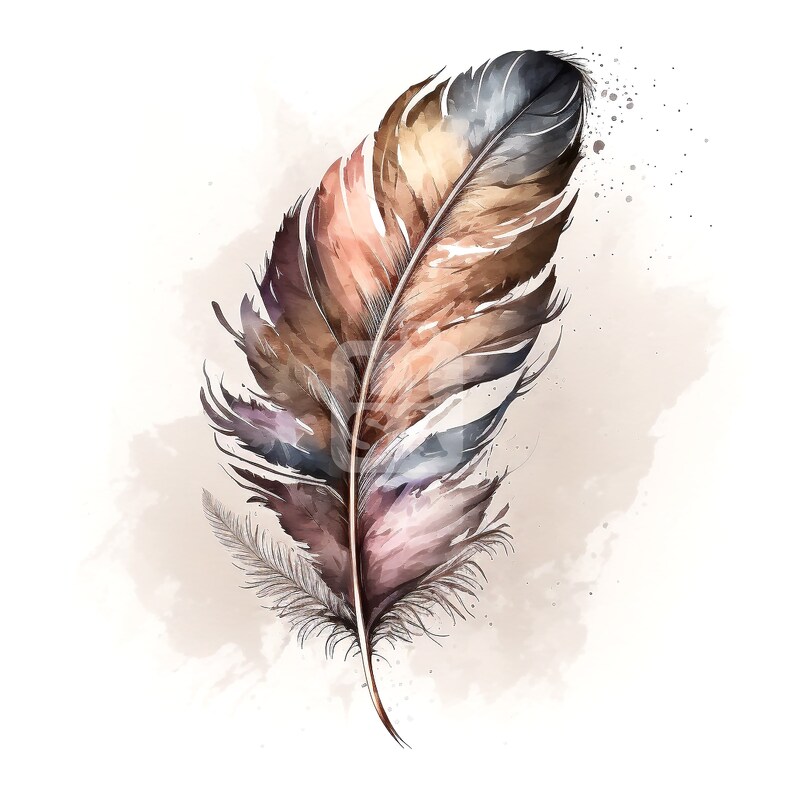Watercolor Feather Clipart & Image Files Instant Download - Etsy