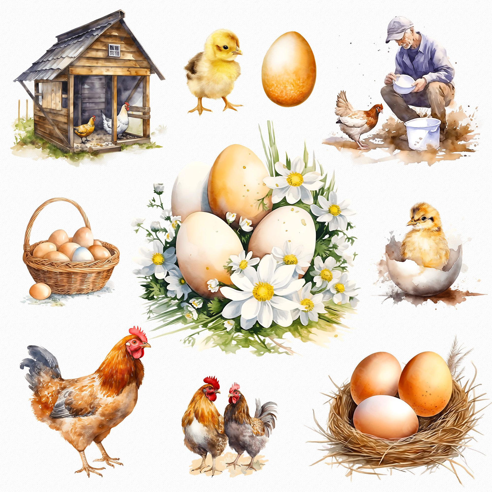 Watercolor Chicken Farm Png Rooster Clipart Farm Animals - Etsy