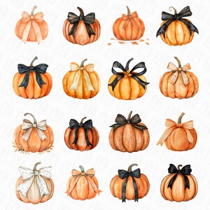 68 Coquette Pumpkin Png, Bow Pumpkin Sublimation, Cute Pumpkin Bundle ...