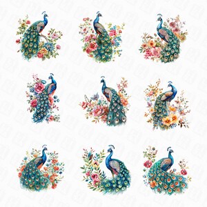 30 Peacock Clipart, Peacock Png - Floral Peacock Designs With ...