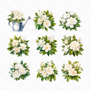 Watercolor Gardenia Png - White Flower Clipart, Gardenia Flower Png ...