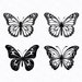 Butterfly Monarch Svg Butterfly Cut File Svg Designs - Etsy