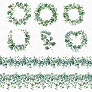 58 Watercolor Eucalyptus Clipart, Watercolor Greenery Clipart ...