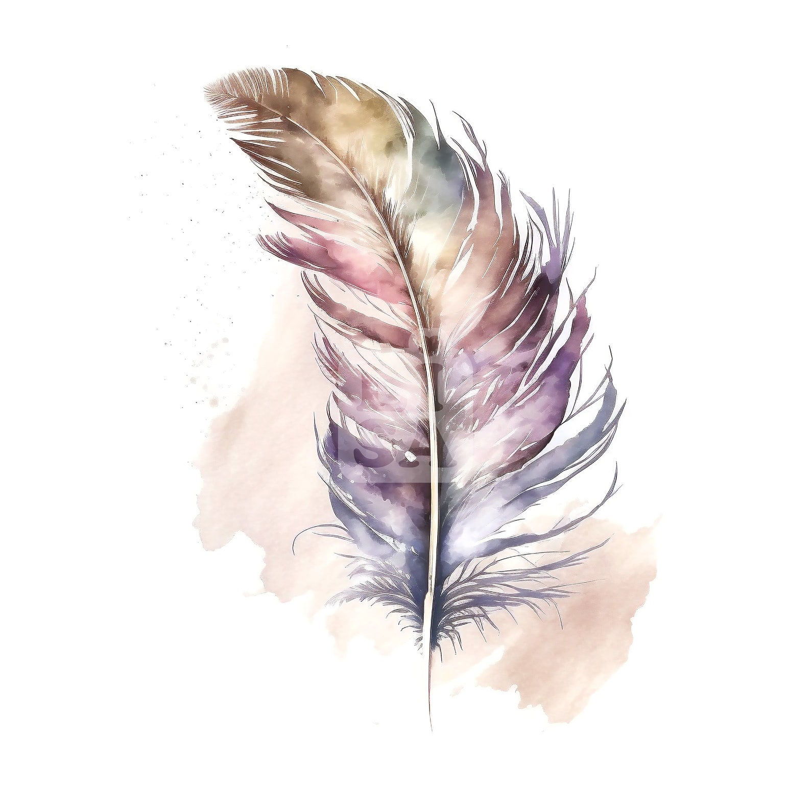 Watercolor Feather Clipart & Image Files Instant Download - Etsy