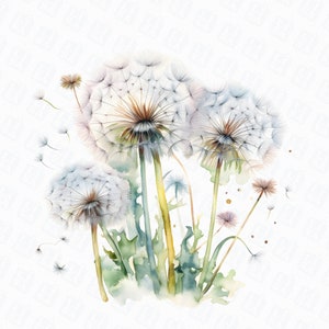 19 Watercolor Dandelion Clipart - Spring Flowers Scrapbook Images in ...