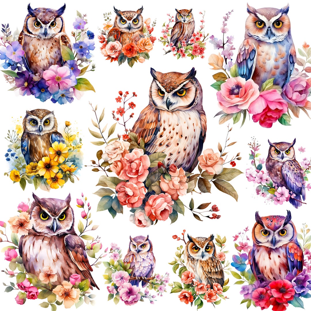 Watercolor Owl Flowers Clipart, Cute Owl Clipart, Floral Owl Png ...