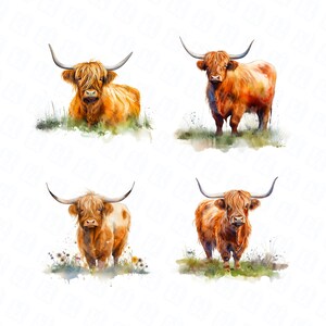 Watercolor Highland Cow Clipart - Cow With Hat, Flowers, Bow - Digital ...