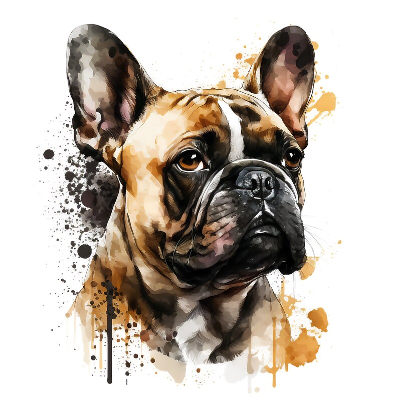 French Bulldog Clipart Digital French Bulldog Clipart & Image - Etsy