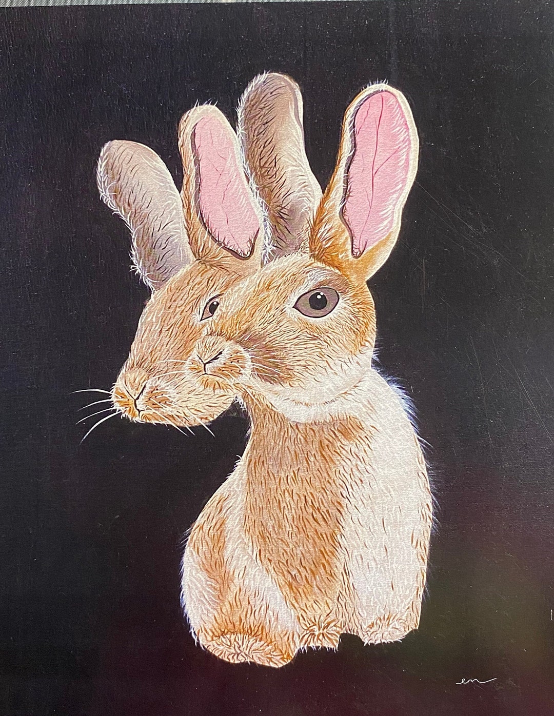 Two Headed Rabbit Art Print - Etsy