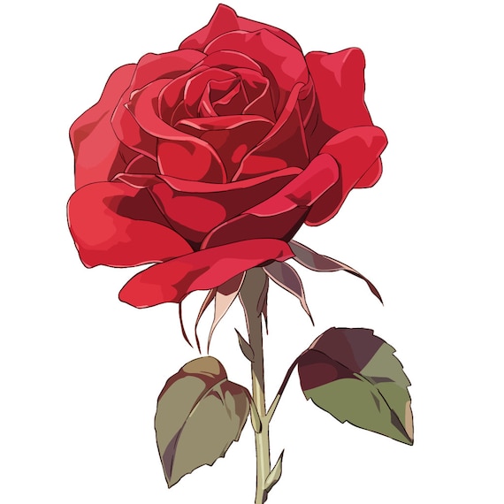 Anime Rose Drawing