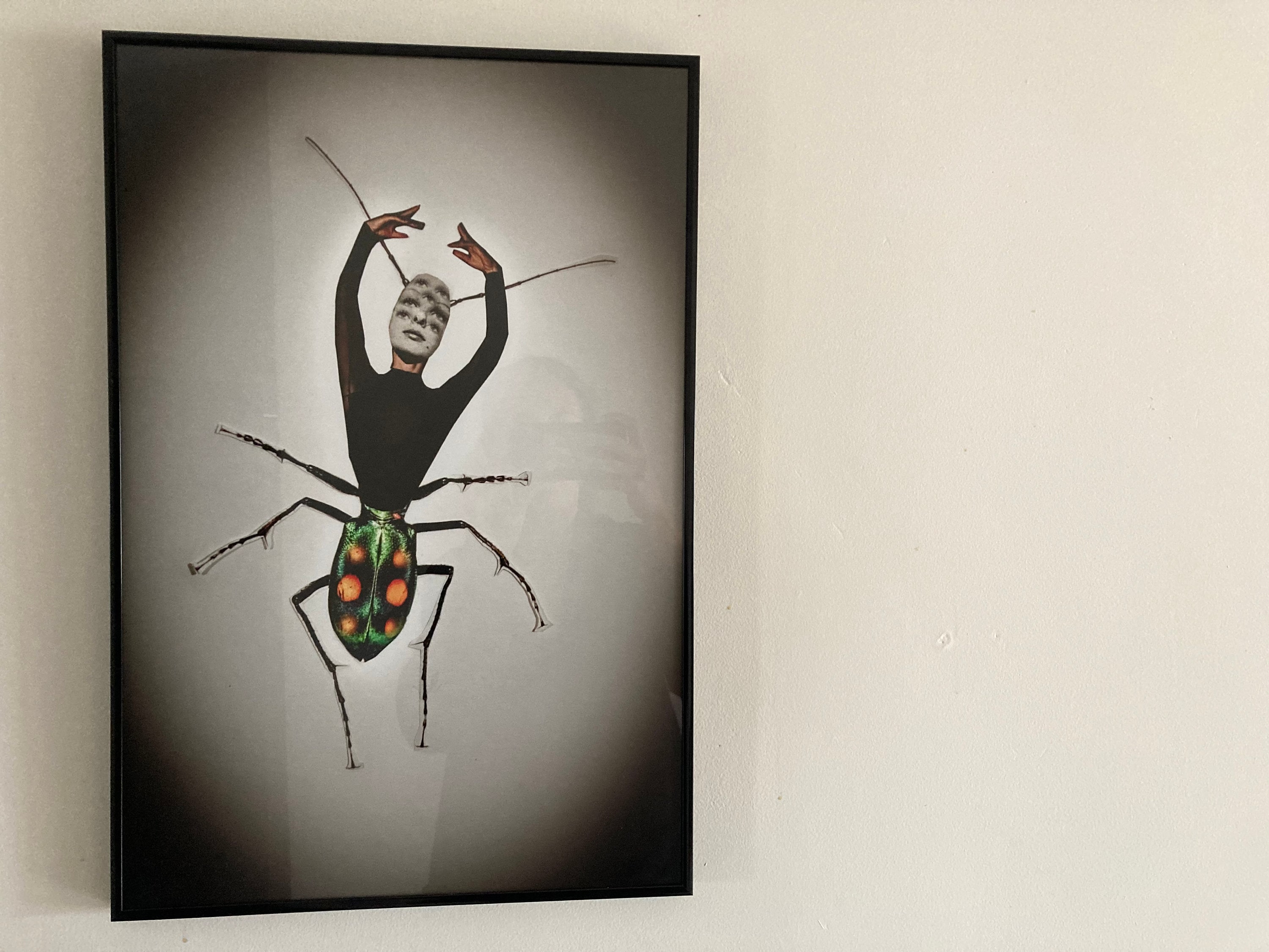 Collage - Collage Art - Portrait Art - Spider Art - Spider - Fine Art ...