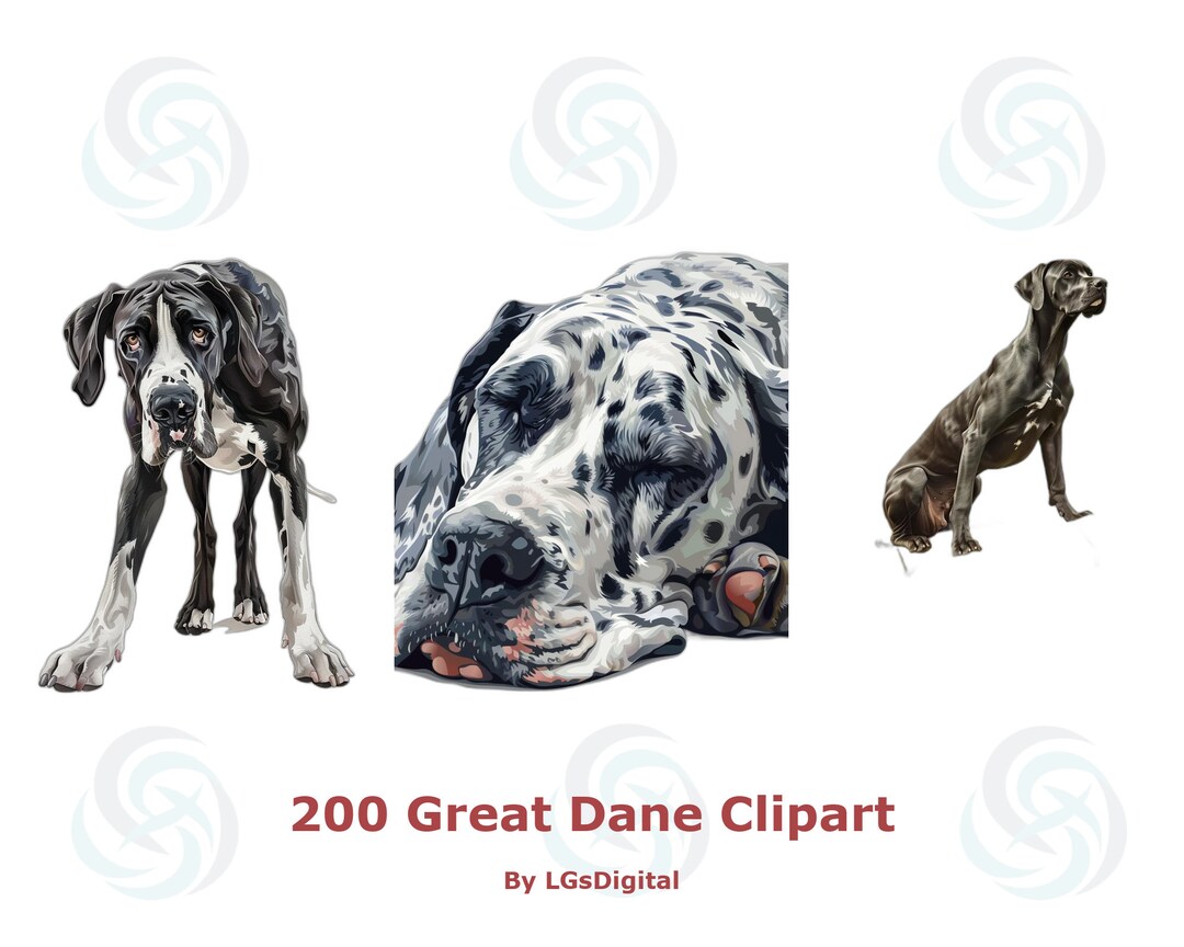 200 Great Dane Clipart | Realistic Clipart | Transparent Background ...