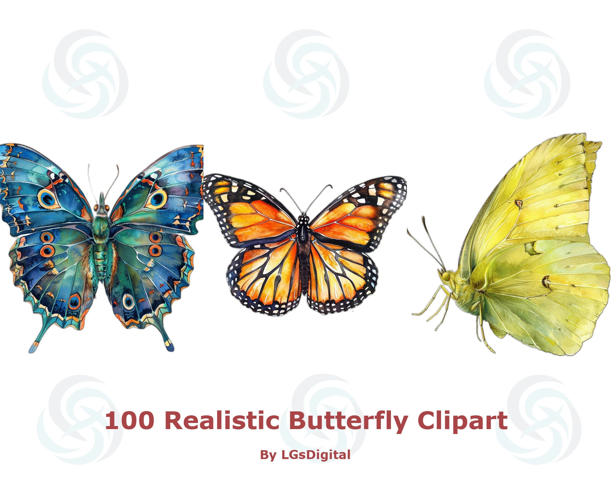 100 Realistic Butterflies Clipart | Realistic Clipart | Transparent ...