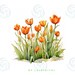 256 Orange Summer Clipart | Orange Beach Clipart | Watercolor Clipart ...