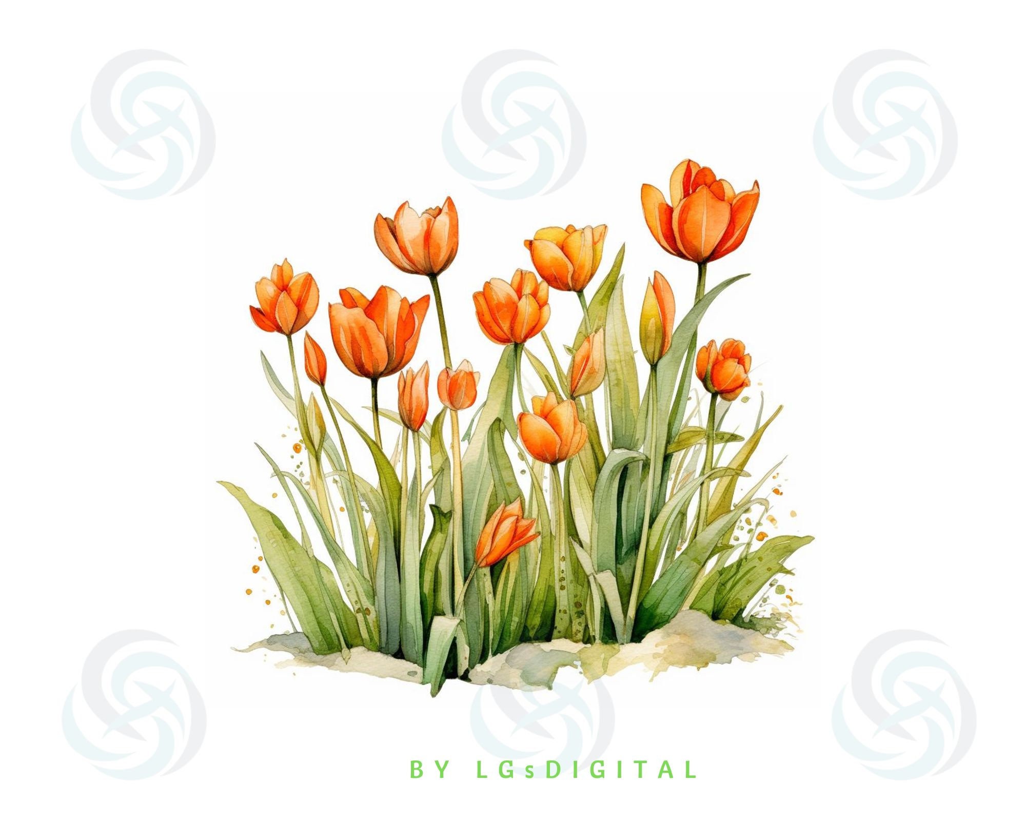 256 Orange Summer Clipart | Orange Beach Clipart | Watercolor Clipart ...