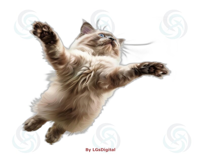 196 Birman Clipart Realistic Clipart Transparent Background Digital ...