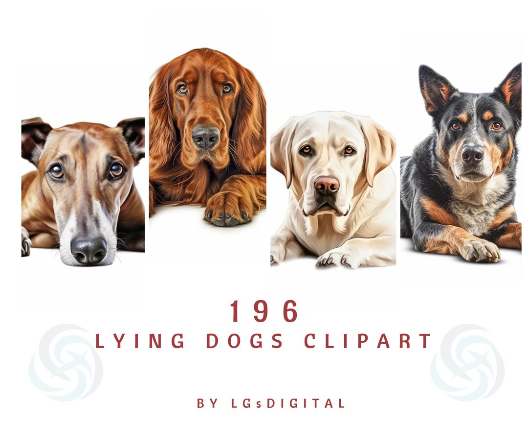 196 Lying Dogs Clipart | 49 Dogs Breeds Clipart | Watercolor Clipart ...