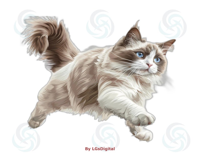 196 Ragdoll Clipart Realistic Clipart Transparent Background Digital ...