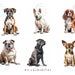 196 Sitting Dogs Clipart | 49 Dogs Breeds Clipart | Watercolor Clipart ...