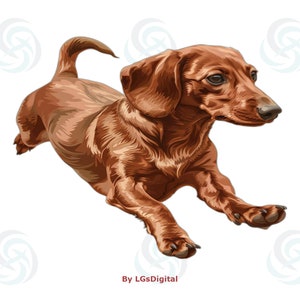 200 Dachshund Clipart | Realistic Clipart | Transparent Background ...
