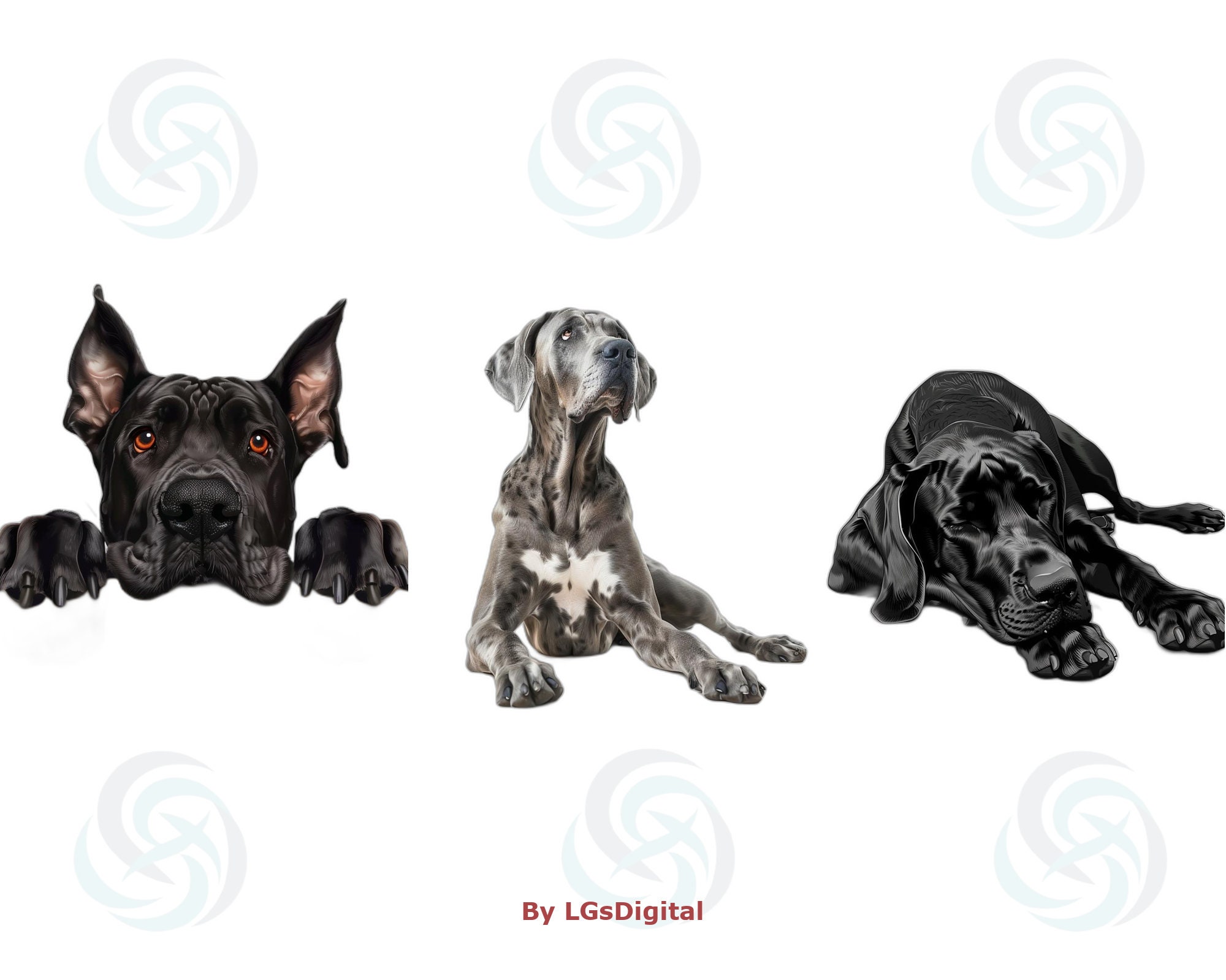 200 Great Dane Clipart | Realistic Clipart | Transparent Background ...