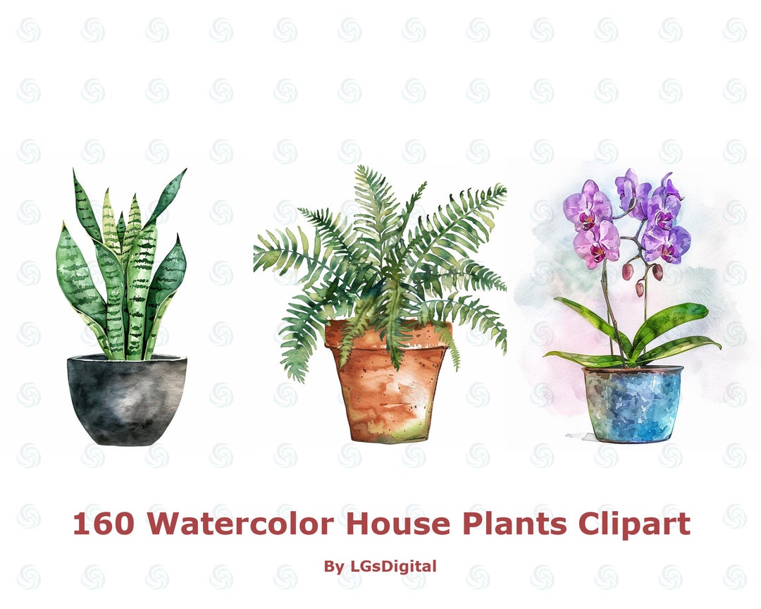 160 Watercolor House Plants Clipart | Realistic Clipart | Transparent ...