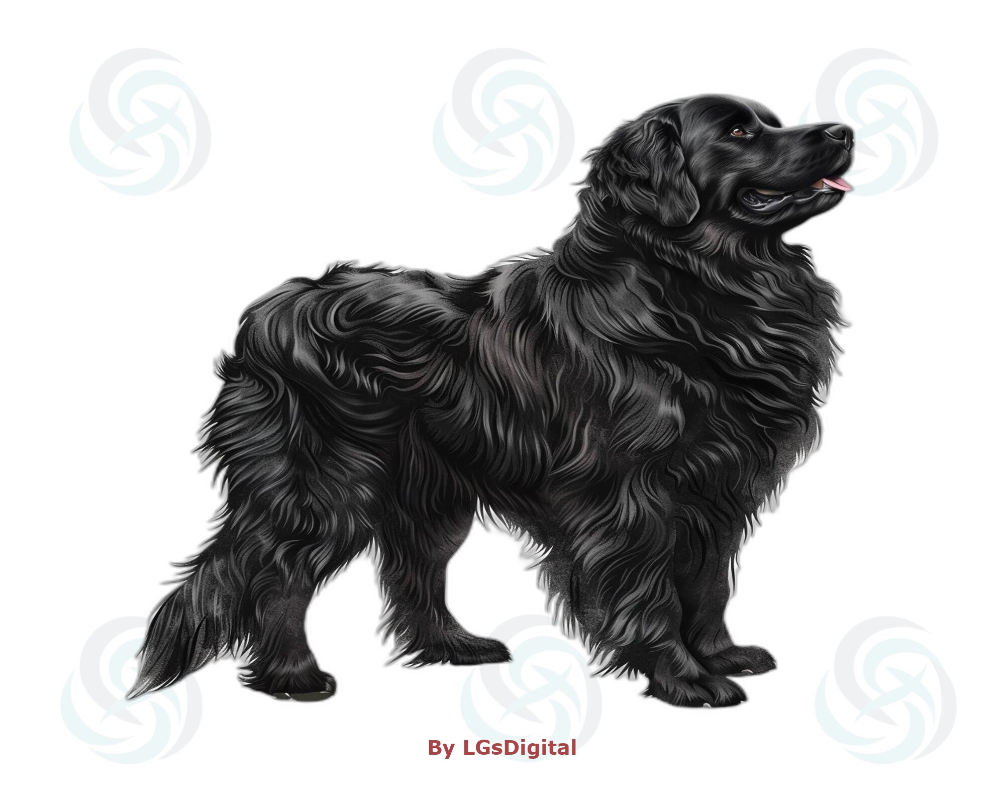 200 Newfoundland Clipart | Realistic Clipart | Transparent Background ...