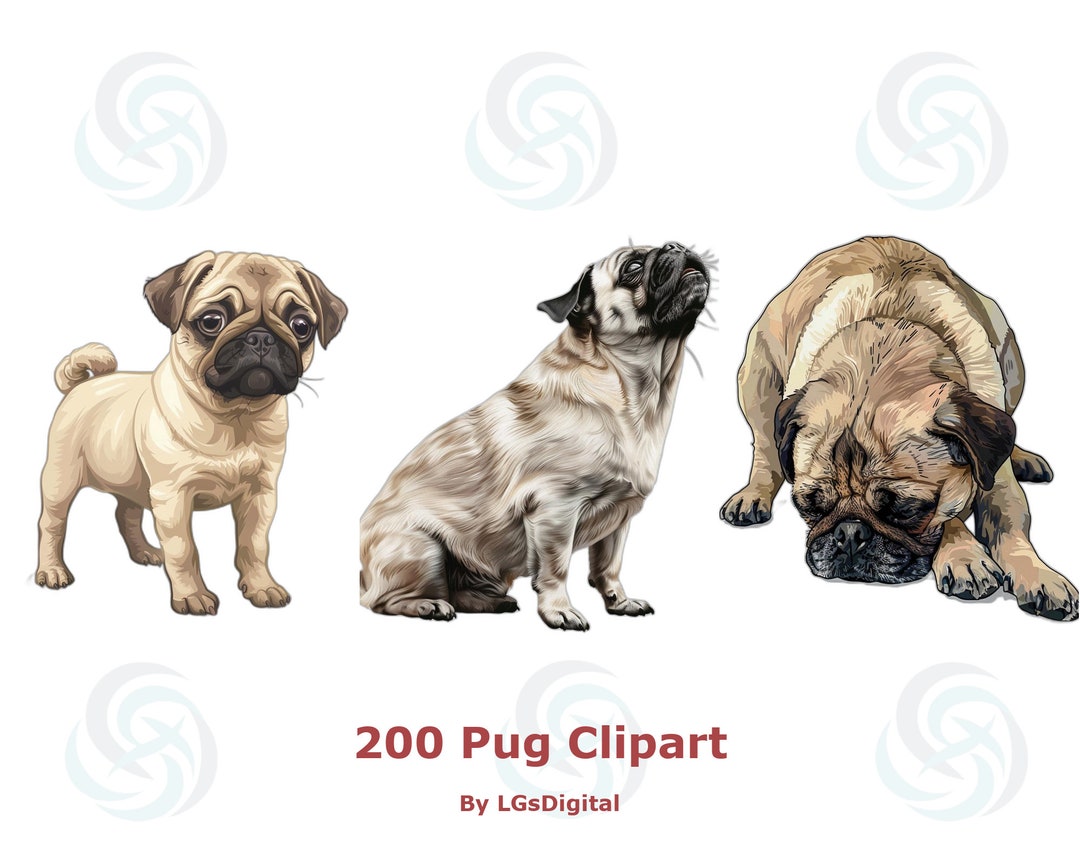 200 Pug Clipart | Realistic Clipart | Transparent Background | Digital ...