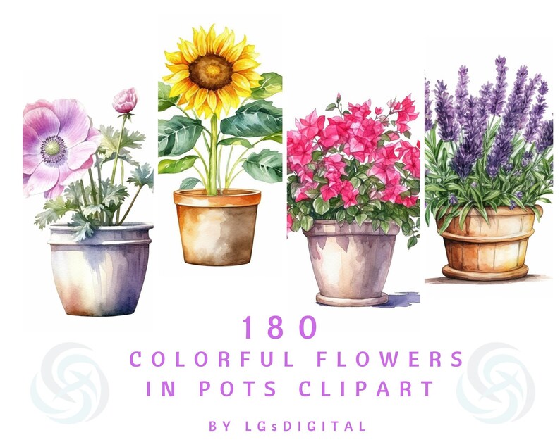 180 Colorful Flower Clipart | Colorful Pots Clipart | Watercolor ...