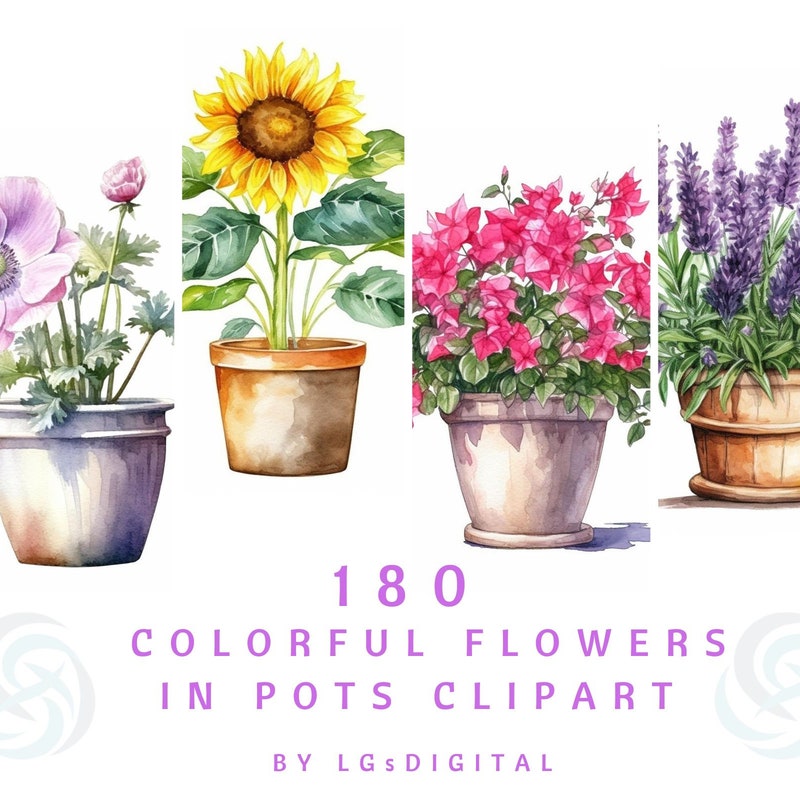Colorful Flower Pots - Etsy